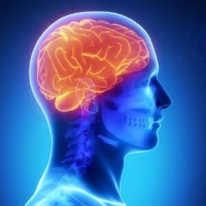 What Does Meth Do to the Brain: Understanding Its Effects - WorldHealth.net