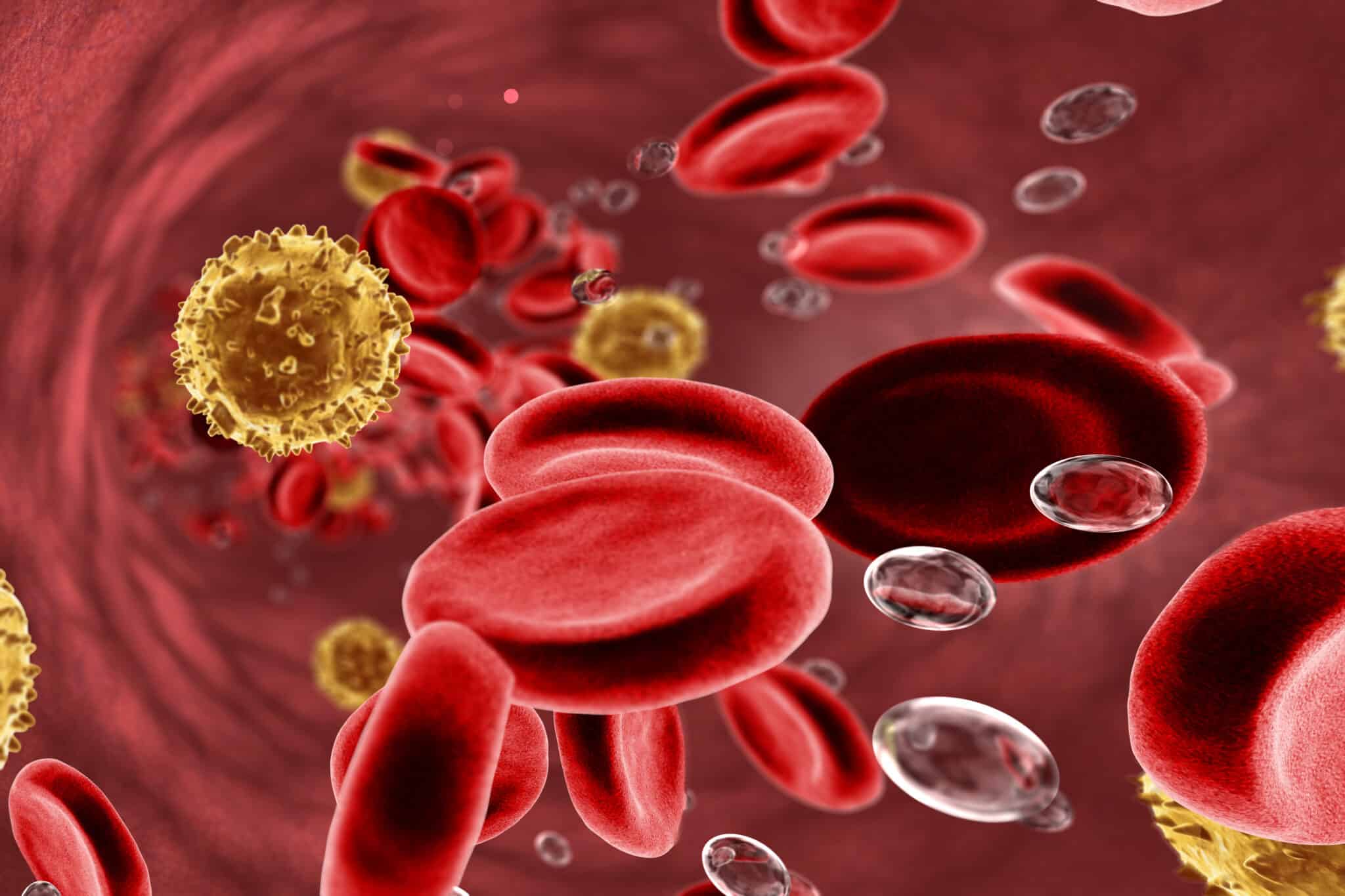 Expanding Umbilical Cord Blood For Stem Cell Transplants In Cancer ...