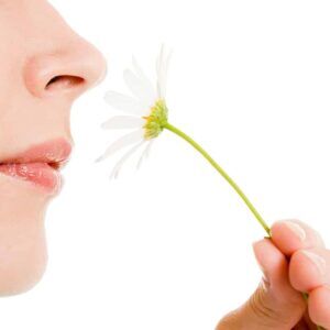 The Nose Knows: Study Suggests It May Be Wise To Screen For Smell Loss ...