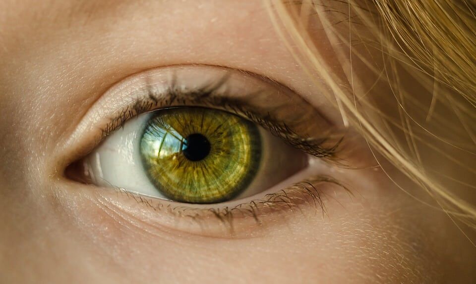 Seeing Spots or Sudden Flashes? Here’s When Your Eyes May Be Asking for ...