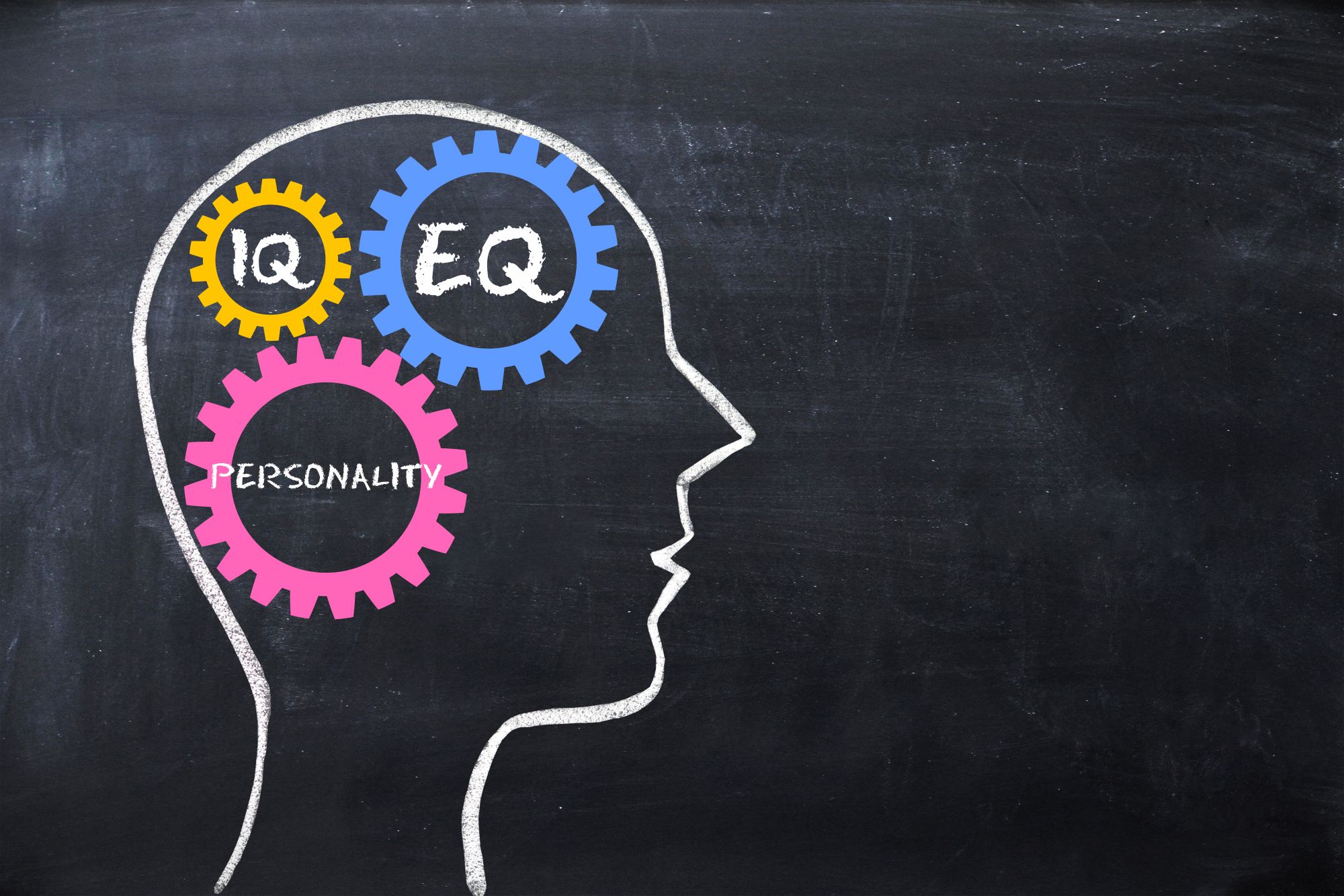 American IQ Scores Drop In 4 Of 5 Measures - WorldHealth.net