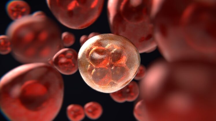 How Cell Therapies Are Changing Recovery Science - WorldHealth.net